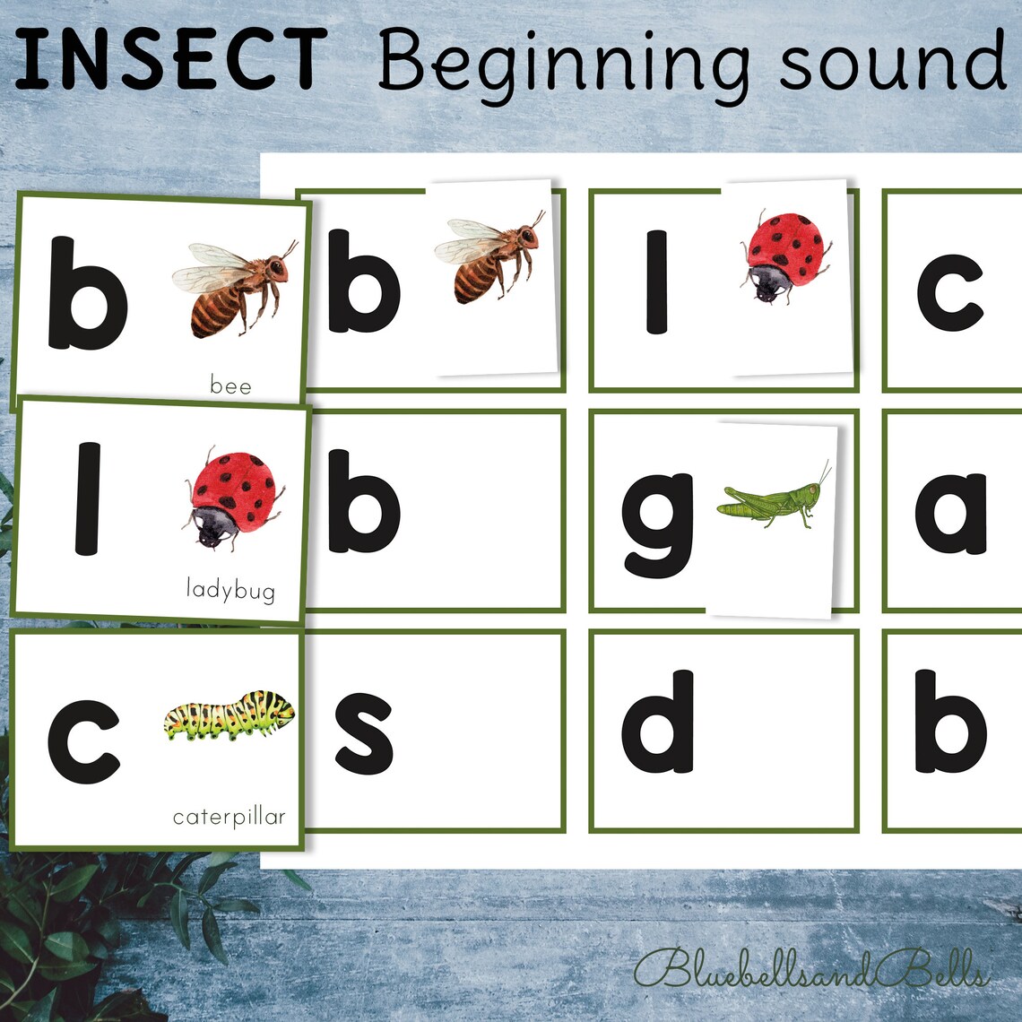 Phonics Printable INSECTS. Spring Preschool and Kindergarten - Etsy