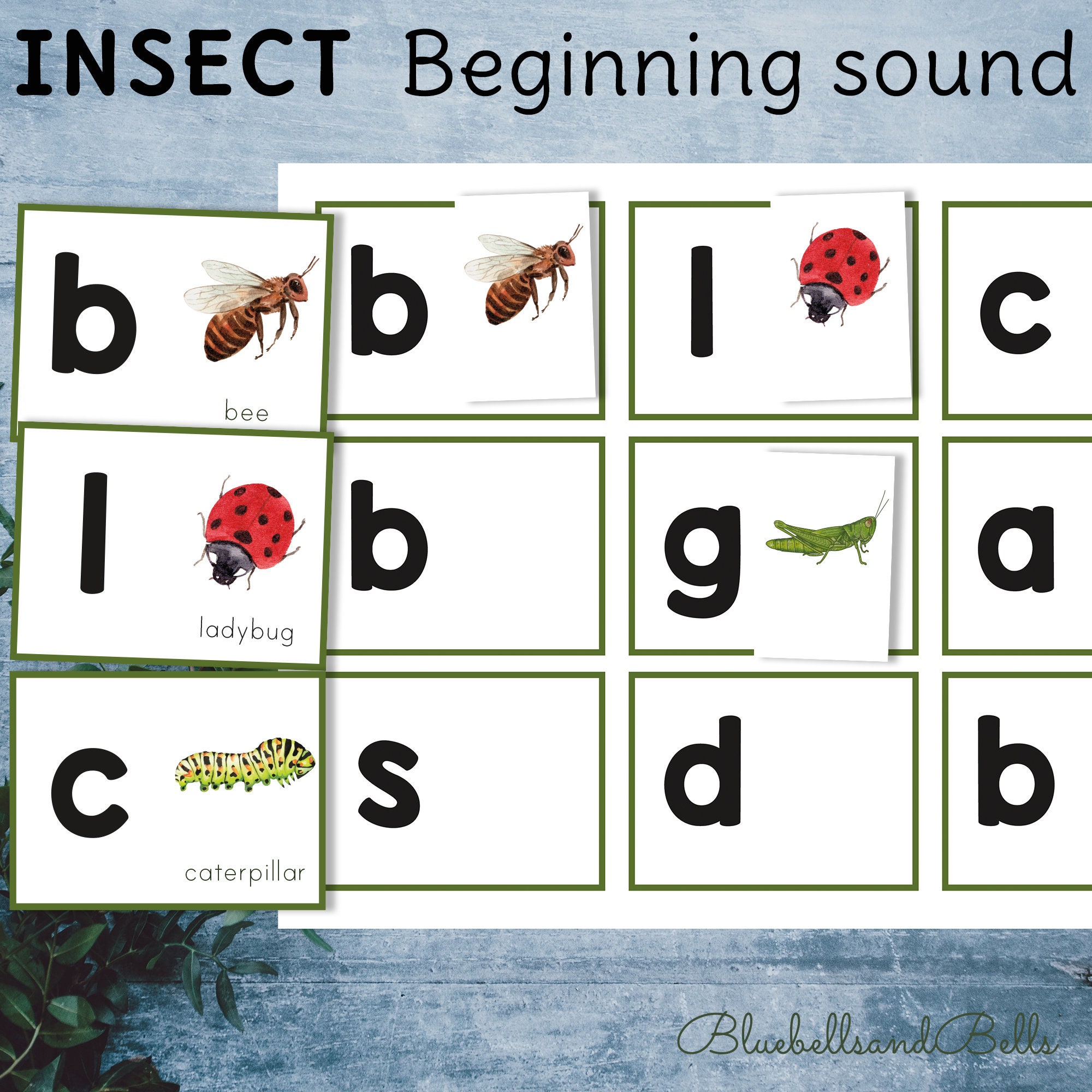 Phonics Printable INSECTS. Spring Preschool and Kindergarten - Etsy