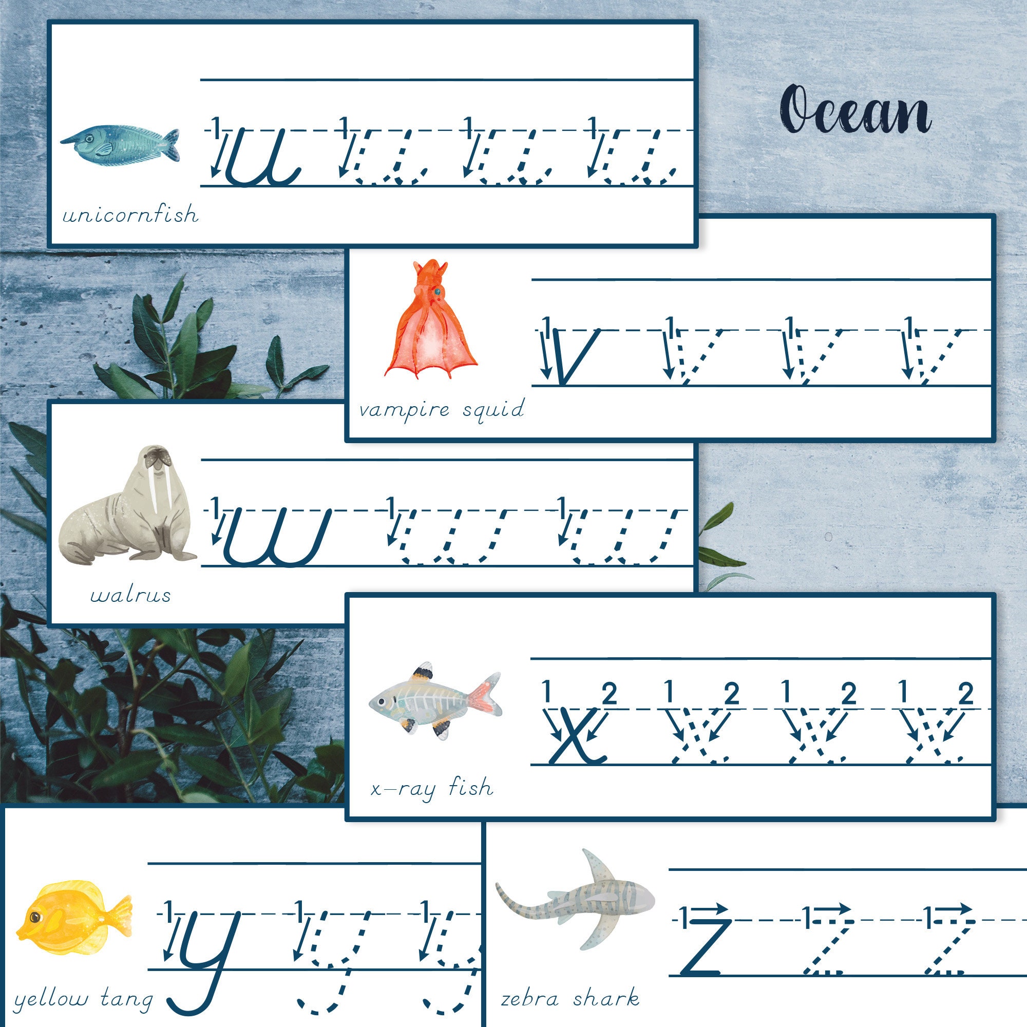 Ocean Alphabet Cards Tracing. Lowercase Manuscript Letter Handwriting ...