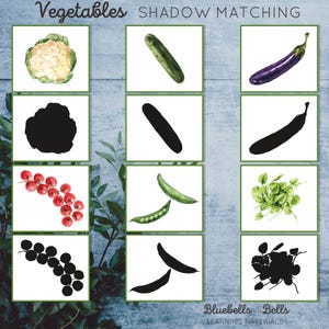 Vegetables Printable Shadow Matching Cards. Montessori Toddler Activity ...