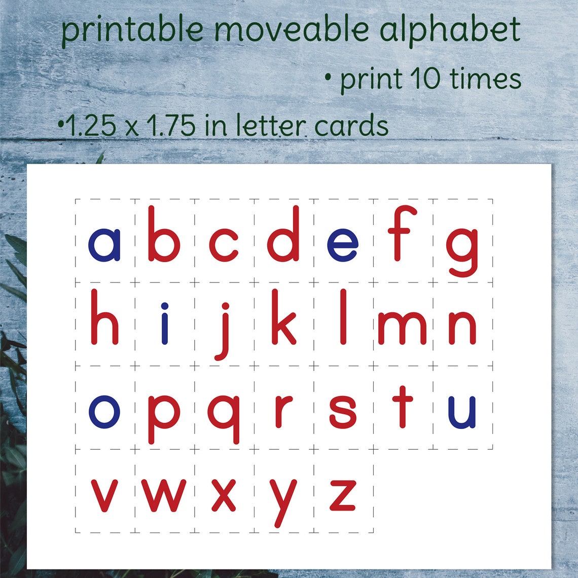Montessori Printable Moveable Alphabet and CVC Word Matching - Etsy
