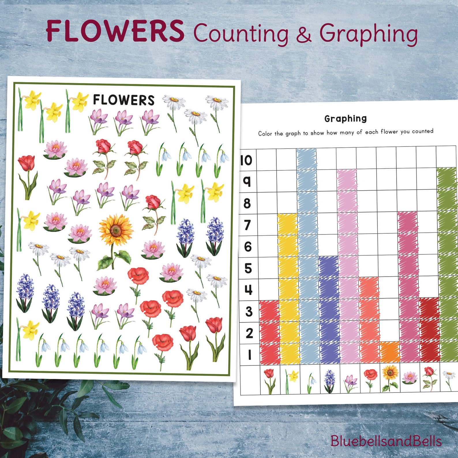 Graphing Printable Flowers. Preschool and Kindergarten Math - Etsy