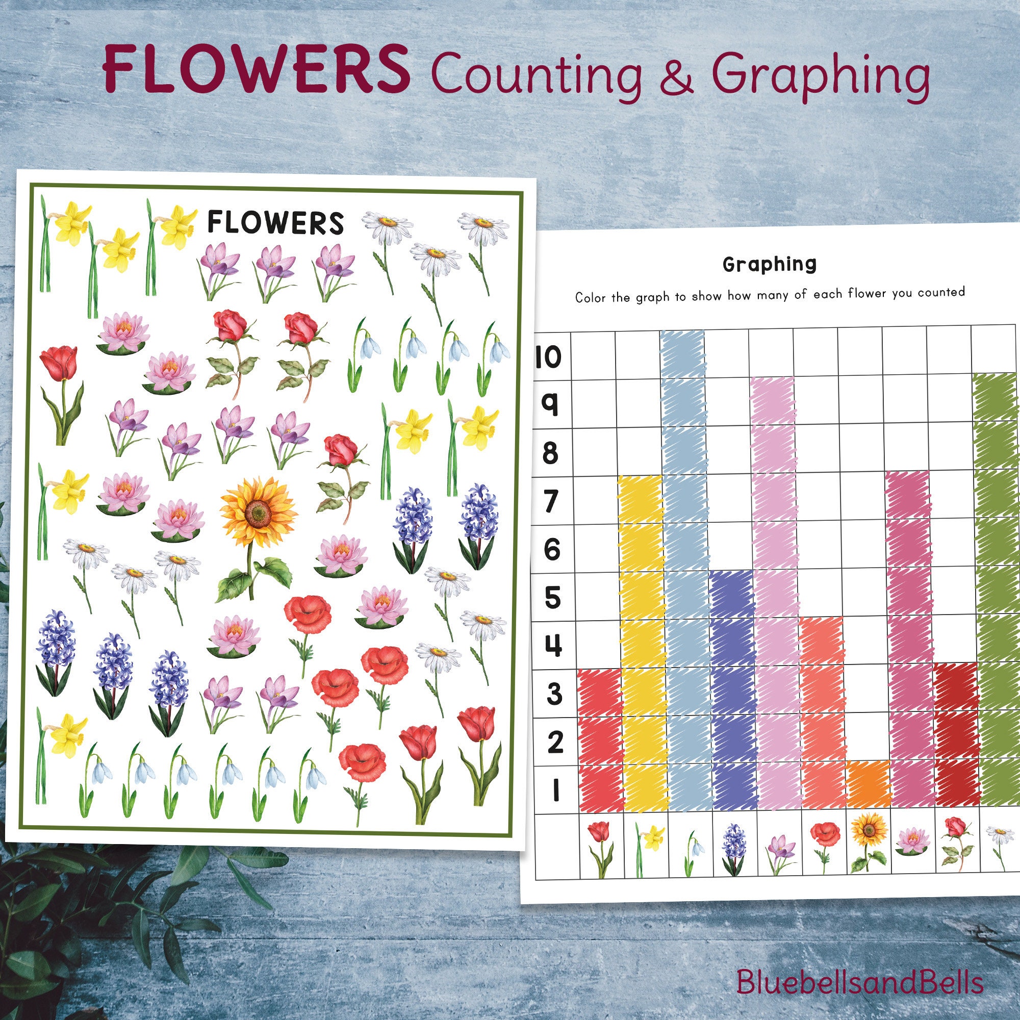 Graphing Printable Flowers. Preschool and Kindergarten Math - Etsy