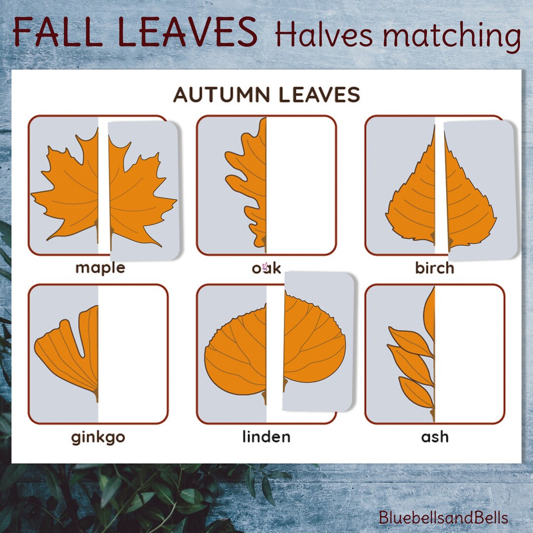 Montessori Puzzle Fall Leaves. Toddler Matching Halves Symmetry ...