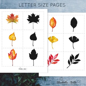 Autumn Shadow Matching Montessori Printable. Fall Nature Activity ...