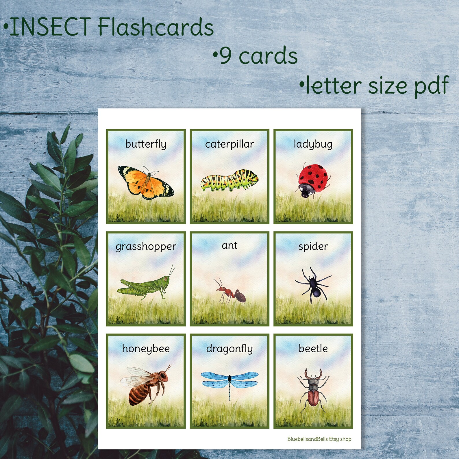 Insect Preschool Printable Mini Flashcards. Watercolor Animal | Etsy