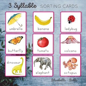 Syllable Sorting Printable Activity. Montessori Preschool and ...