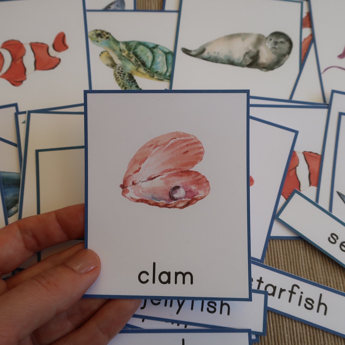 Ocean Montessori Printable 3 Part Cards. Preschool Vocabulary | Etsy