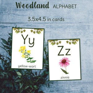 Woodland Alphabet Flashcards. Watercolor Letter Cards. Kids Printable ...