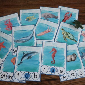 Ocean Animal Printable Phonics Clip Cards. Beginning Sound Activity ...