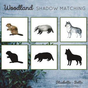 Woodland Animal Montessori Printable Shadow Matching Cards. Toddler ...