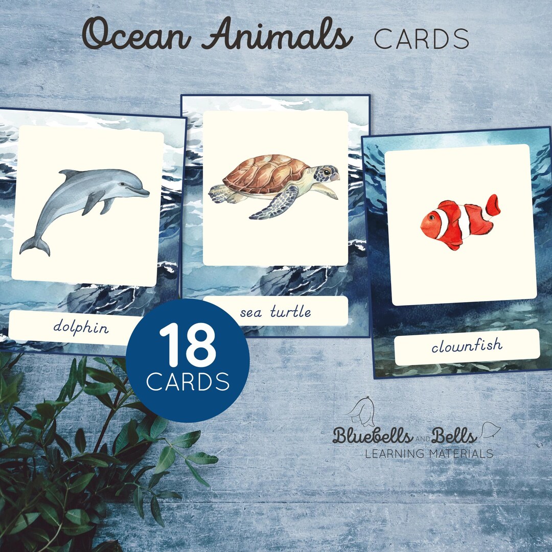 Printable Ocean Animals Flashcards for Toddlers and Preschoolers. - Etsy
