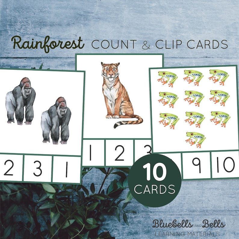 Rainforest Animals Count and Clip Cards 1-10. Preschool Math Printable ...