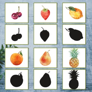 Fruit Shadow Matching Cards. Montessori Preschool Printable. Toddler ...