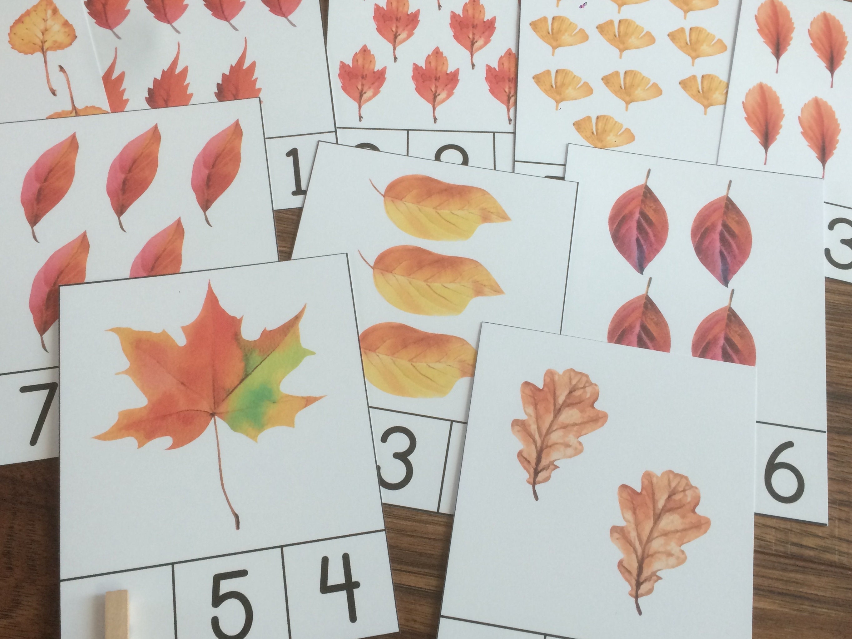 Fall Leaves Counting Cards 1-10. Montessori Math Printable. - Etsy