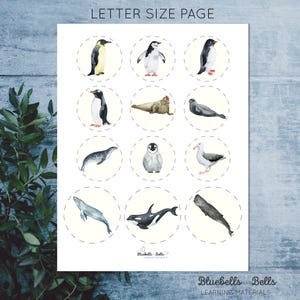 Antarctica Animals Map Matching Activity. Montessori Winter Preschool ...