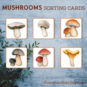 Fall Preschool Montessori Printable Category Sorting Activity. Toddler ...