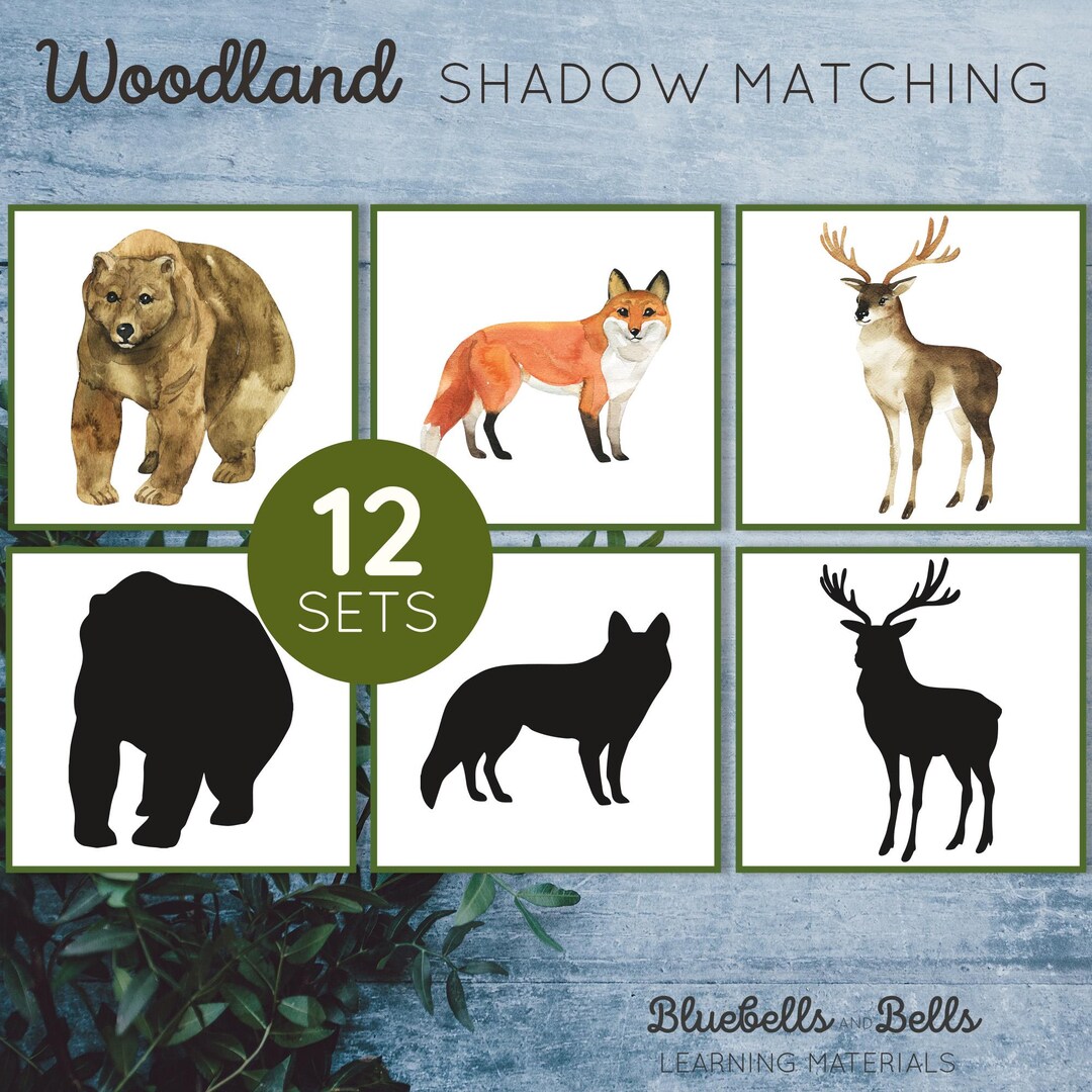Woodland Animal Montessori Printable Shadow Matching Cards. Toddler ...