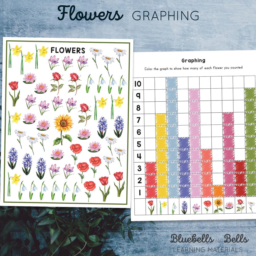 Graphing Printable Flowers. Preschool and Kindergarten Math Activity ...