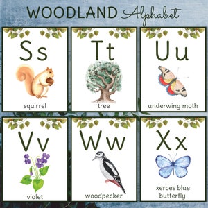 Woodland Alphabet Flashcards. Watercolor Letter Cards. Kids Printable ...