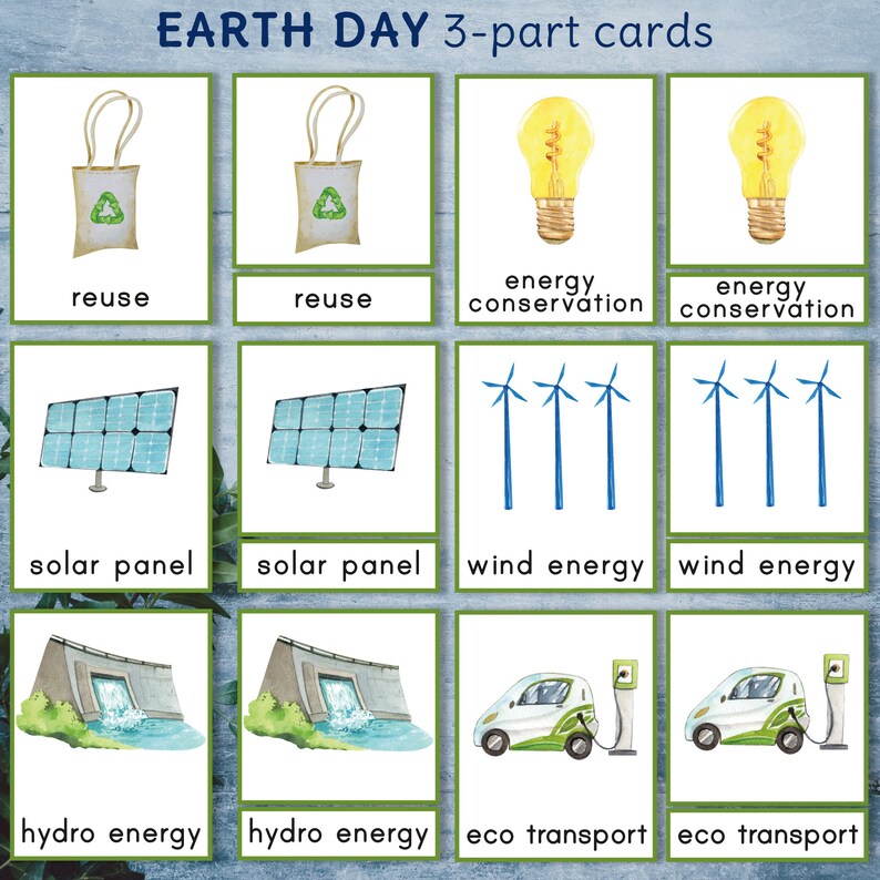 Earth Day Montessori 3 Part Cards. Ecology Vocabulary Cards. | Etsy