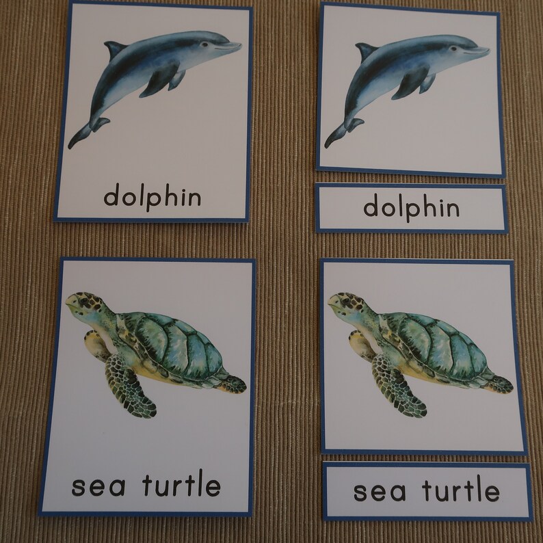 Ocean Montessori Printable 3 Part Cards. Preschool Vocabulary - Etsy