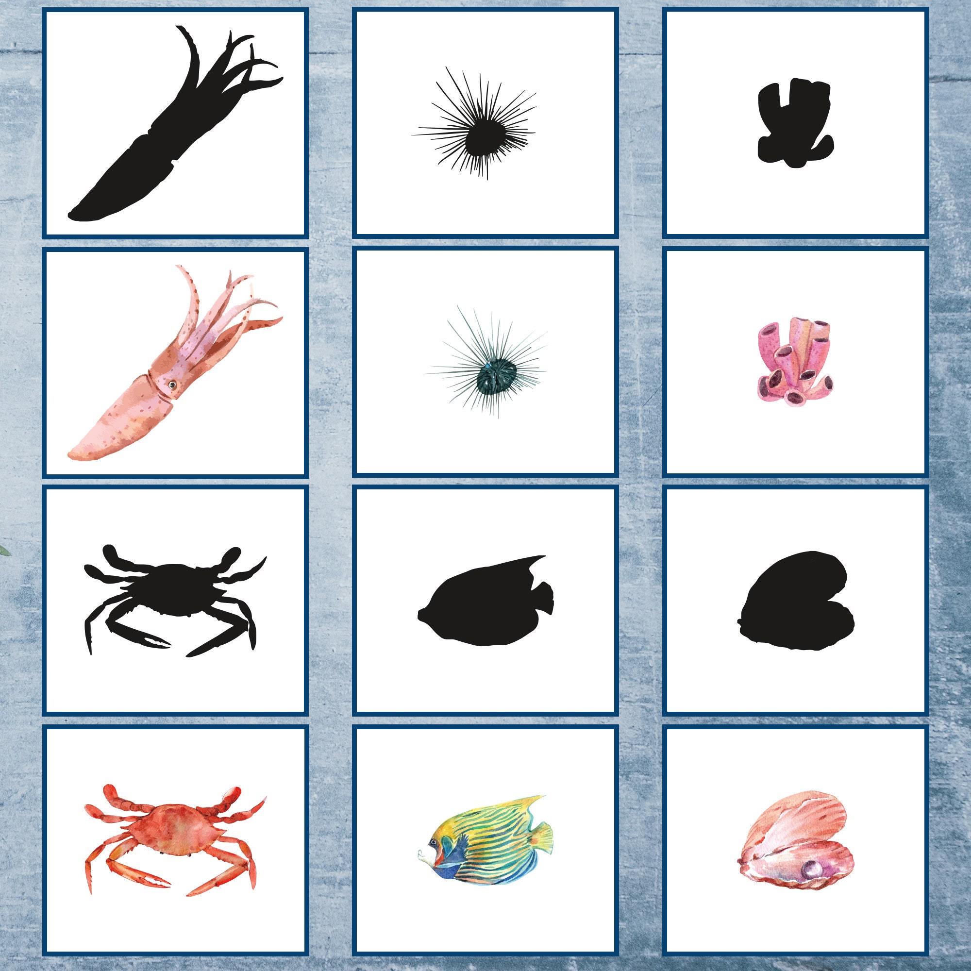 Ocean Animal Shadow Matching Cards. Montessori Summer - Etsy Canada
