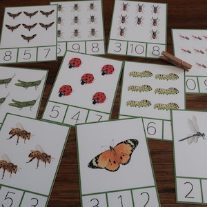 Insect Count and Clip Cards 1-10. Montessori Summer Math Printable ...