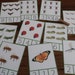 Insect Count and Clip Cards 1-10. Montessori Summer Math - Etsy
