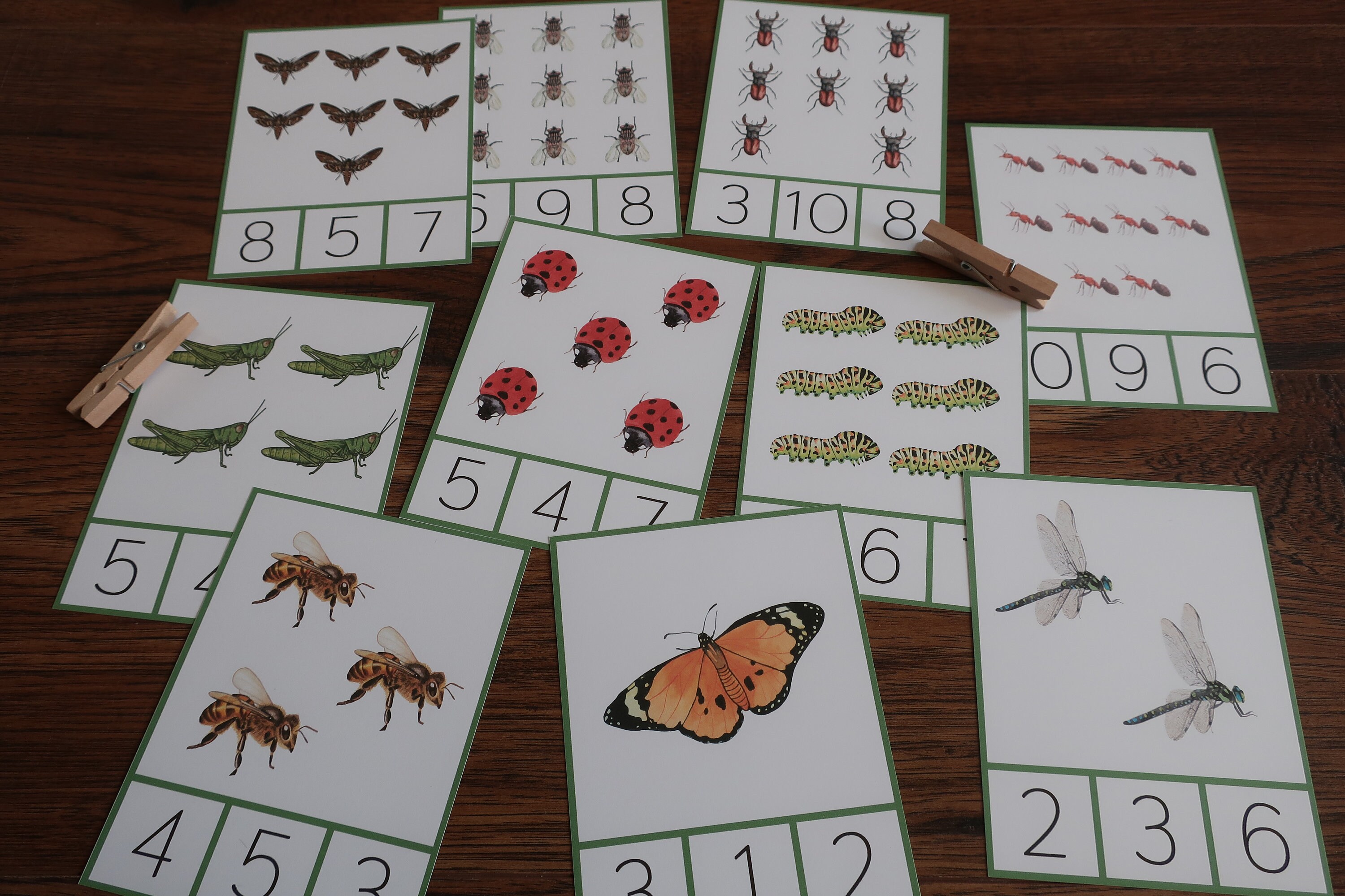 Insect Count and Clip Cards 1-10. Montessori Summer Math - Etsy
