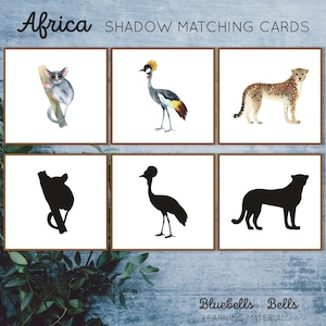 Africa Animal Shadow Matching Cards. Montessori Toddler Printable ...