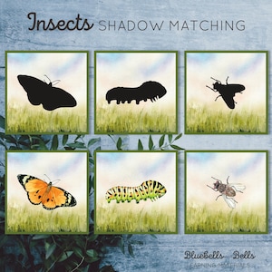 Insect Shadow Matching Cards. Montessori Pre-reading Printable for ...