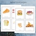 Food Flash Cards Printable. Vocabulary Preschool and Kindergarten ...