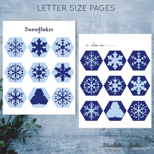 Snowflake Preschool Printable Shadow Matching Activity. Montessori ...