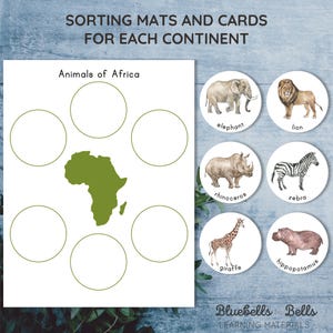 Animals of the Continents Posters and Sorting Activity. Montessori ...