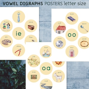 Digraph Posters Vowels. Montessori Green Series Phonics Matching ...