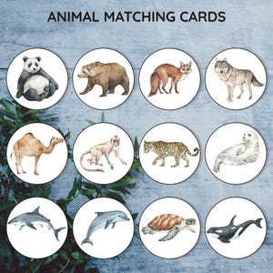 Animals of the Continents Shadow Matching Activity. Montessori ...