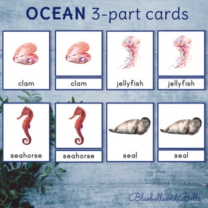 Ocean Montessori Printable 3 Part Cards. Preschool Vocabulary Cards ...