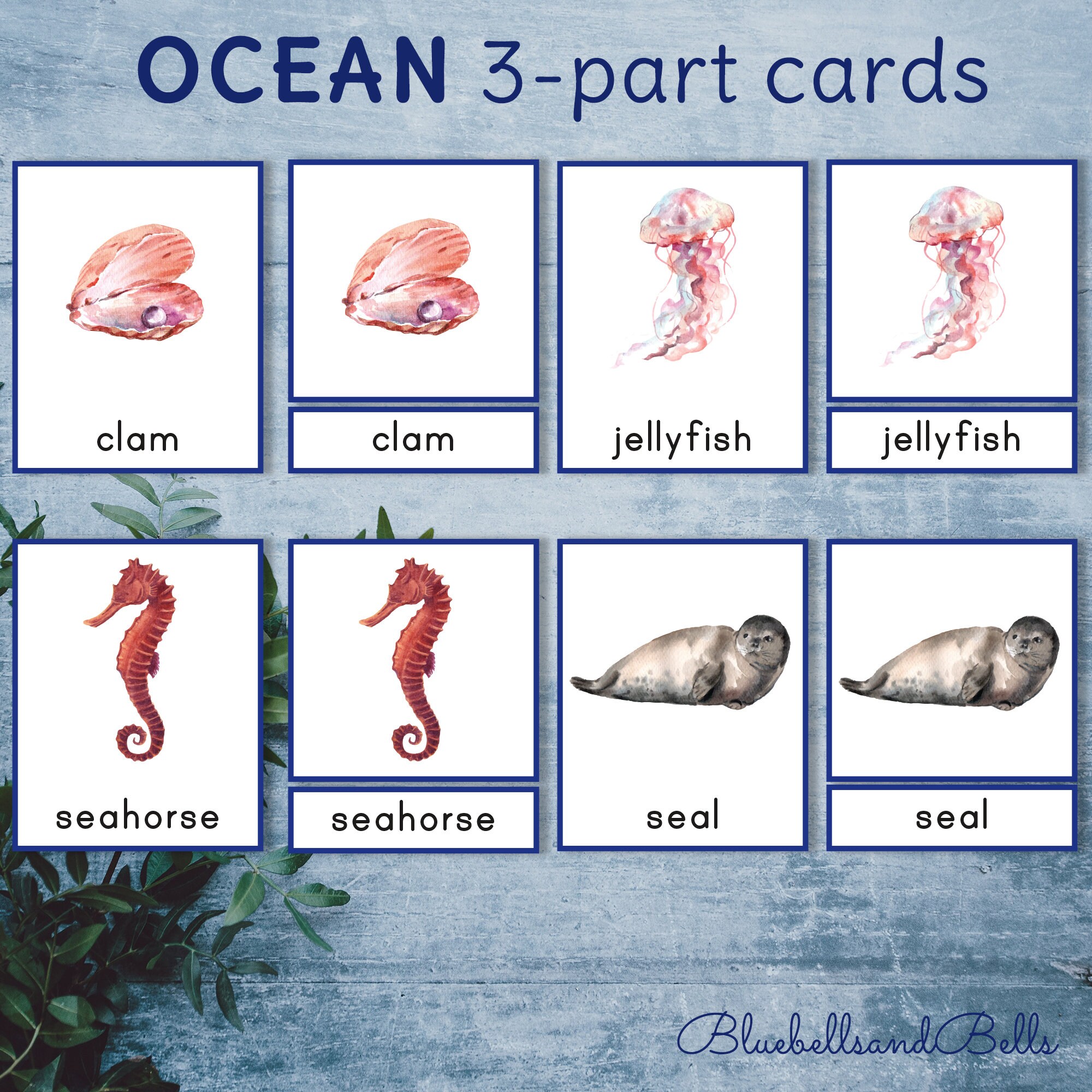 Ocean Montessori Printable 3 Part Cards. Preschool Vocabulary | Etsy