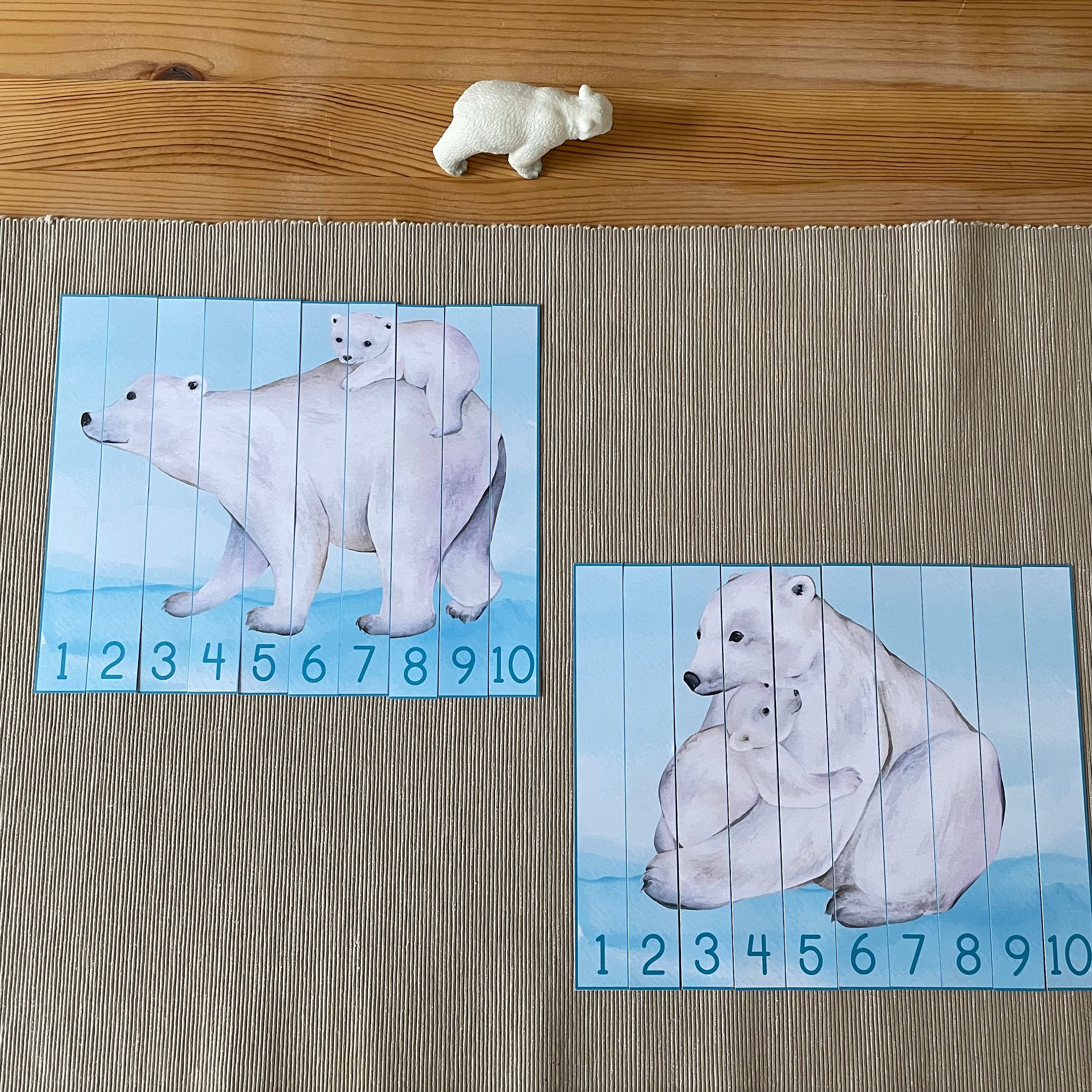 Folleto Imprimible Del Oso Polar Habitos Y Temperamento Del Oso Polar