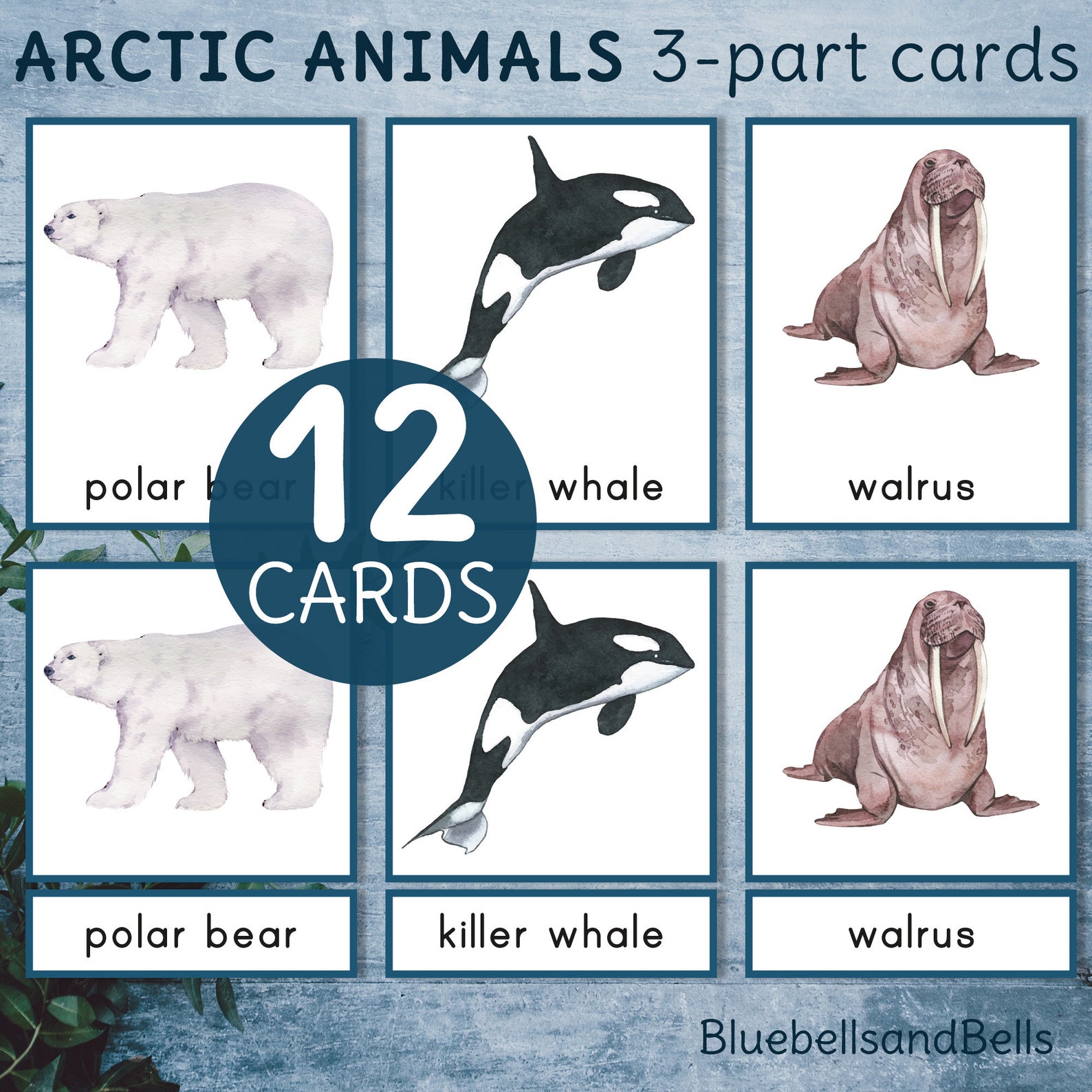 Arctic Animals 3 Part Cards. Montessori Winter Printable - Etsy