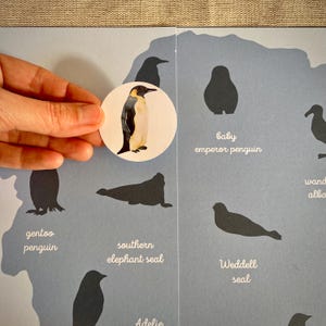 Antarctica Animals Map Matching Activity. Montessori Winter Preschool ...