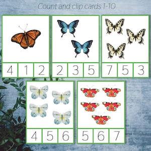 Butterfly Count and Clip Cards 1-10. Preschool Summer Printable ...