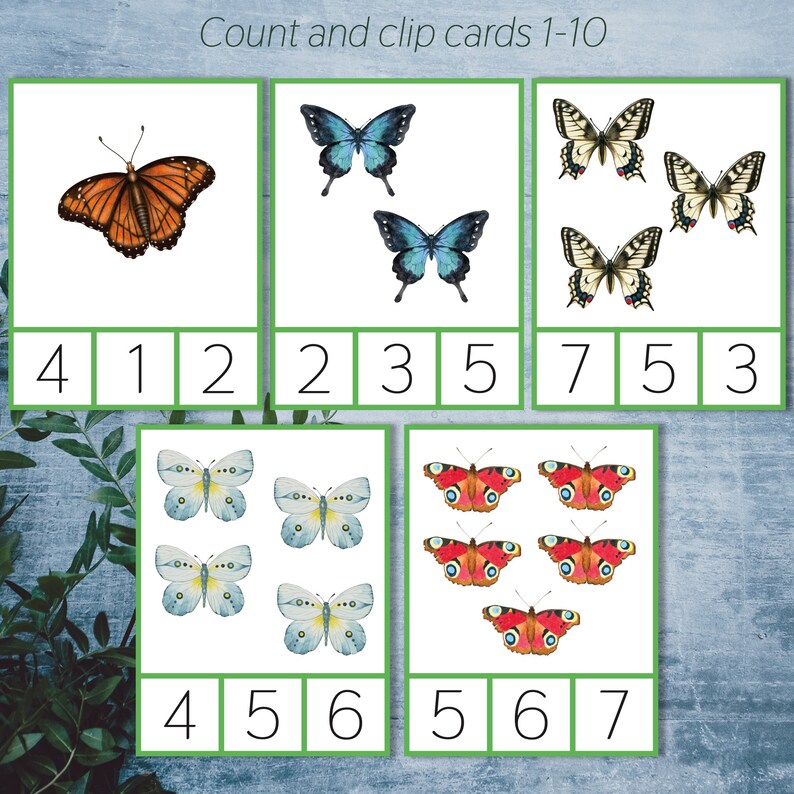 Butterfly Count and Clip Cards 1-10. Preschool Summer | Etsy