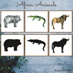 Africa Animal Shadow Matching Cards. Montessori Toddler - Etsy Canada