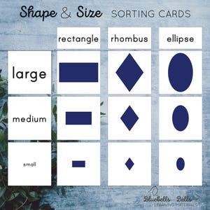 Shape Sorting Activity. Montessori Printable. - Etsy