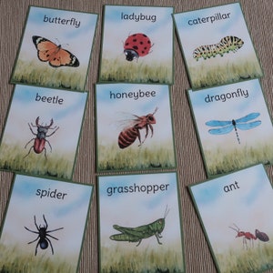 Insect Preschool Printable Mini Flashcards. Watercolor Animal Cards for ...