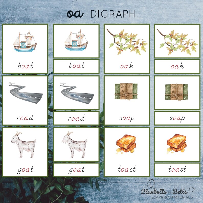 Vowel Digraphs 3-part Cards. Green Series Printable. - Etsy