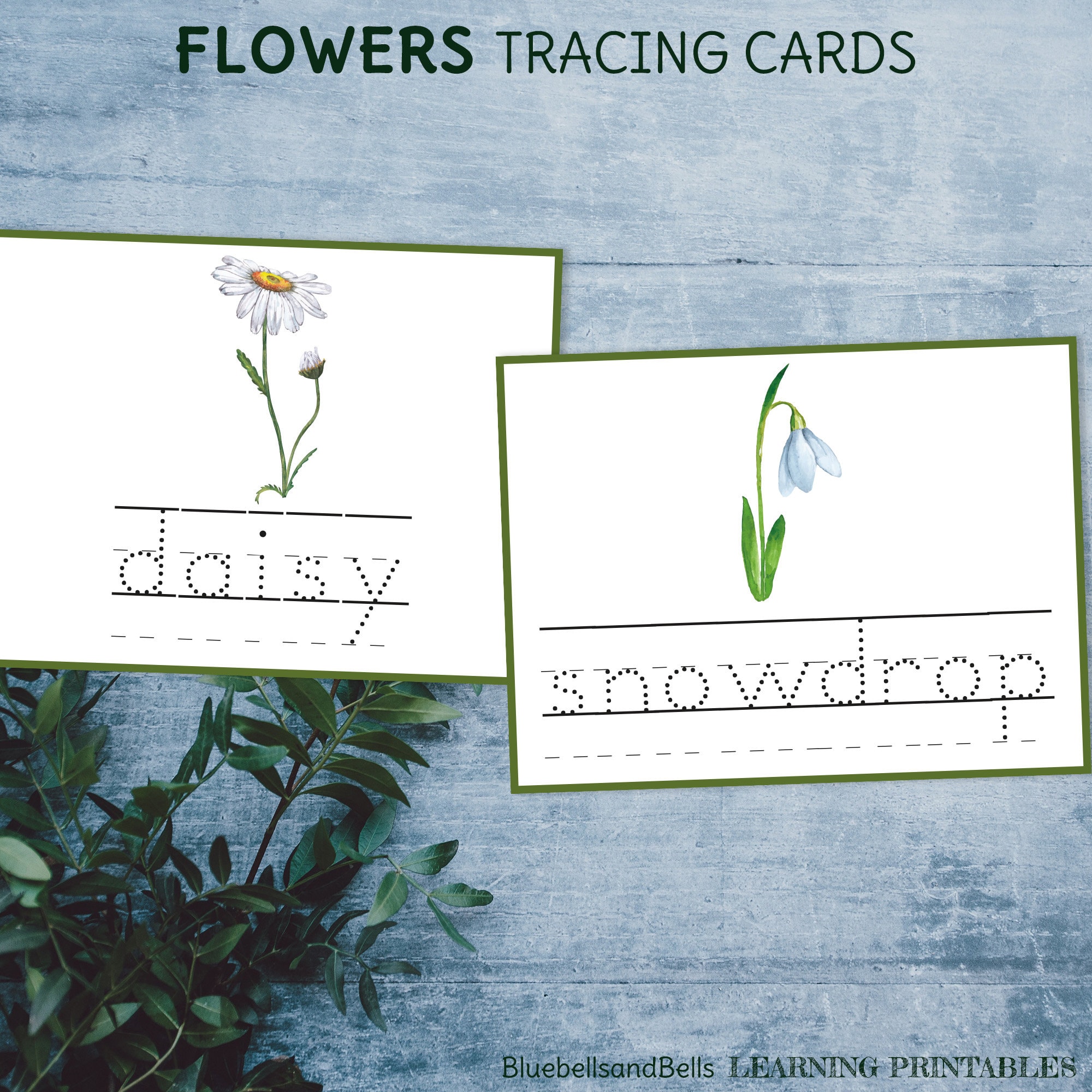 Flower Cards Tracing Words. Handwriting Practice for Preschool and ...