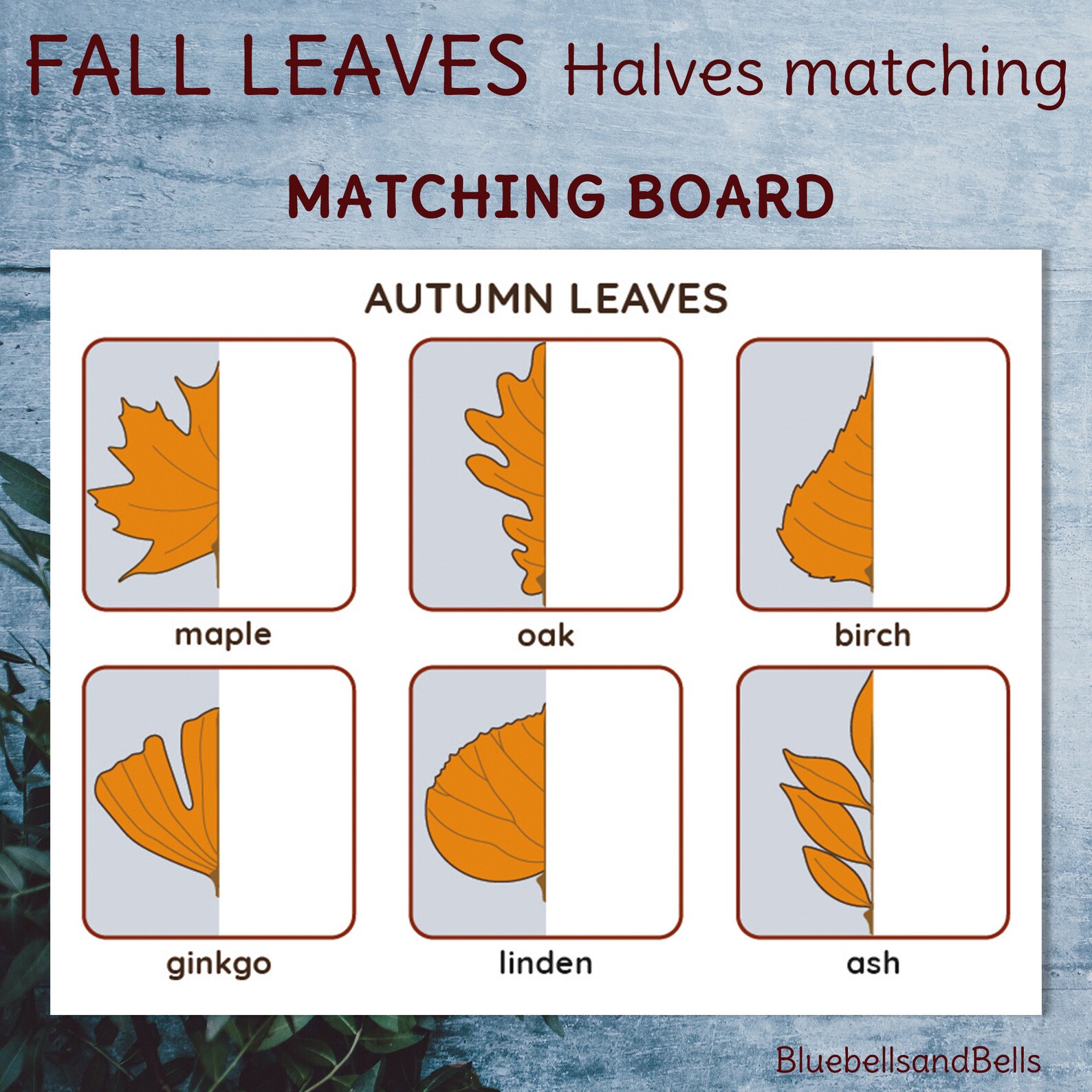 Montessori Puzzle Fall Leaves. Toddler Matching Halves Symmetry ...